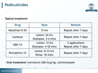 basics of diagnosis and treatment of scabies and pediculosis | PPTX