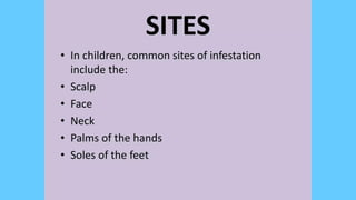 SCABIES ppt Final.pptx Introduction, How it spread, what are the sign ...
