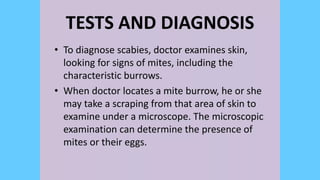 SCABIES ppt Final.pptx Introduction, How it spread, what are the sign ...