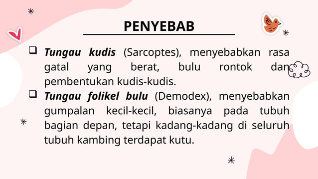 penyakit scabies atau kudis pada hewan ternak.pptx