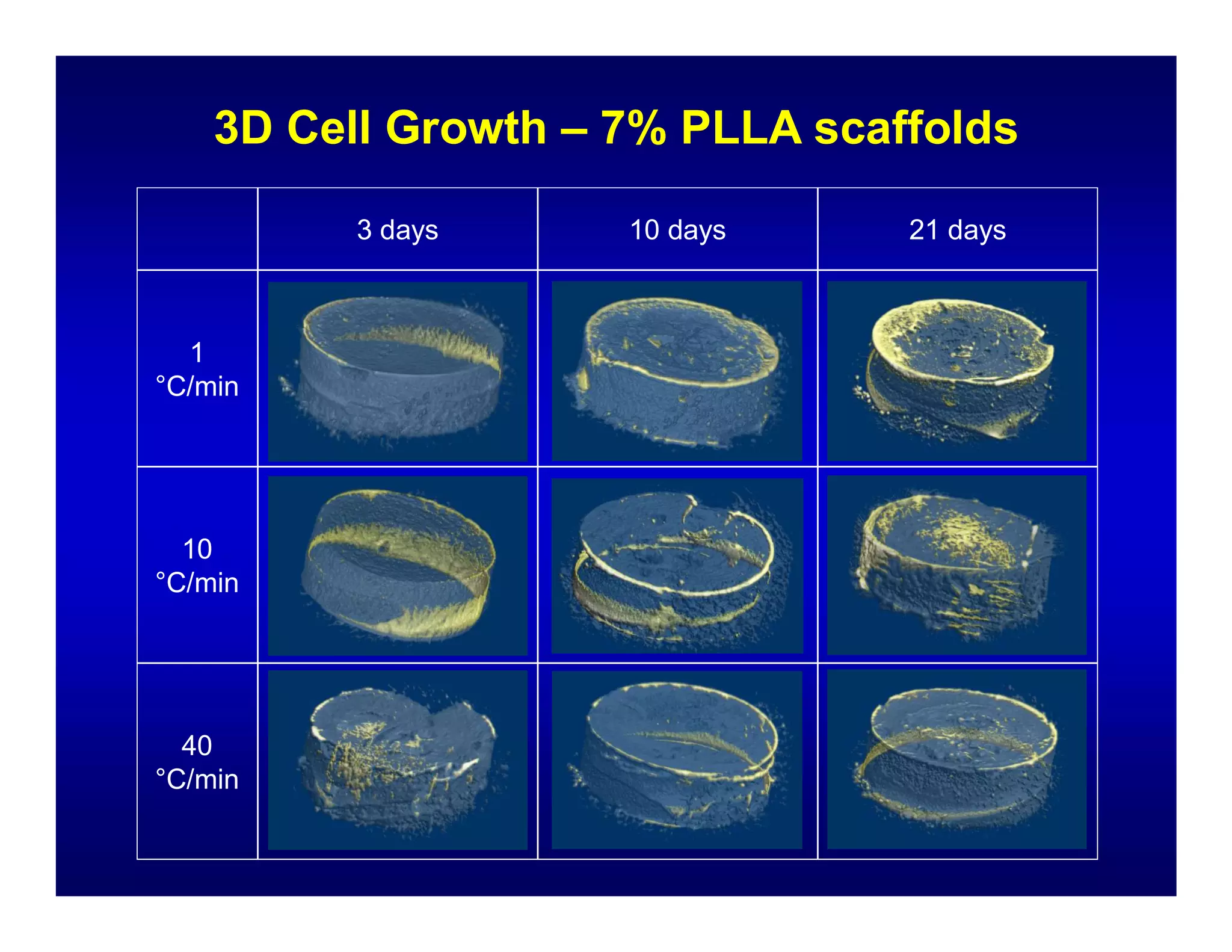 PLLA Scaffold-hASC composites from x-ray scanning uct (7%) | PDF