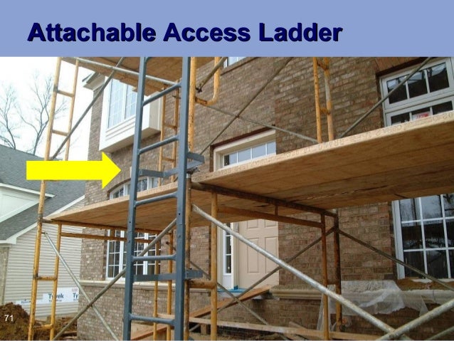 Scaffold ladder