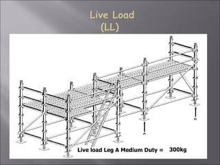 Scaffold classes and duties (cals) | PPT