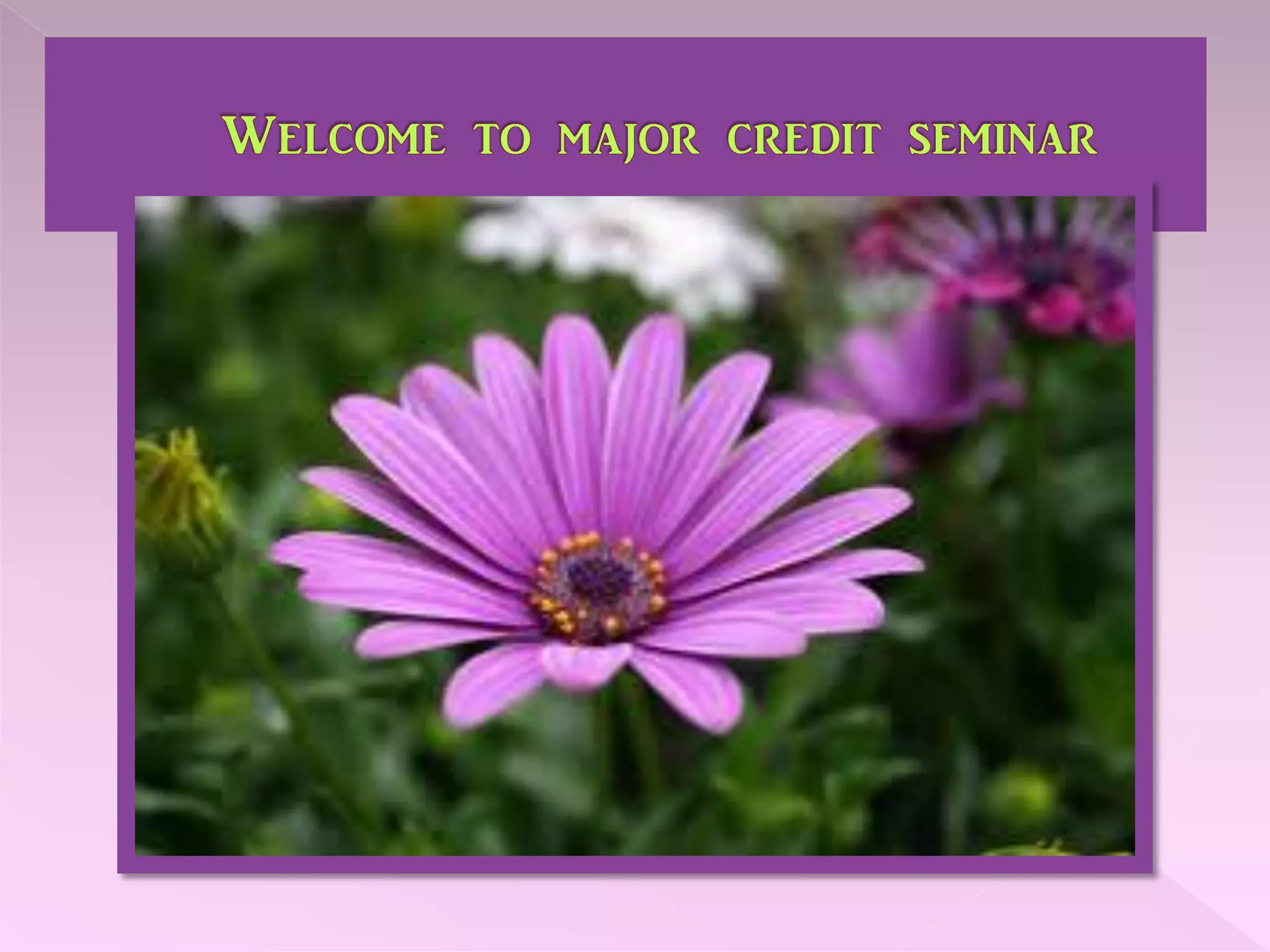 Scaffold engineering for bone reconstructive surgery | PDF