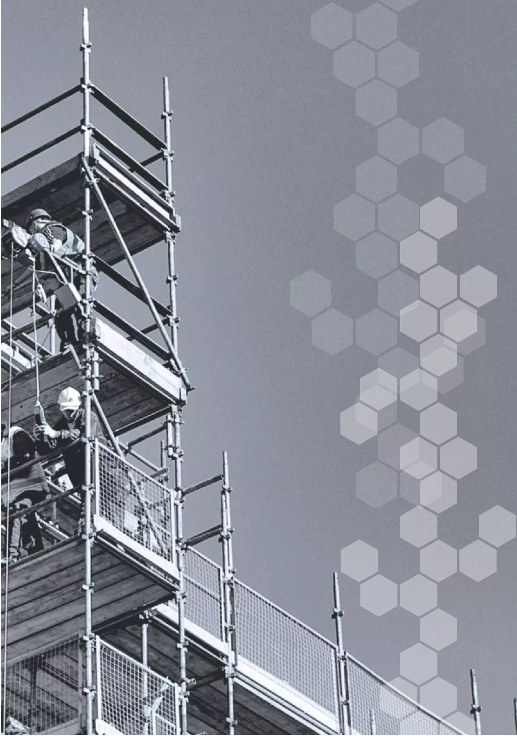 Scaffolding Management Software ASK EHS | PDF