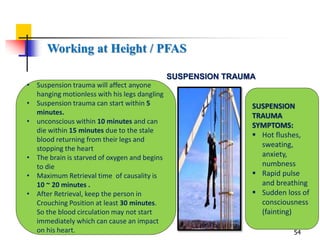 Scaffolding safety training.ppt