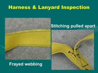 SCAFFOLDING SAFETY WORKSHOP PPT.pdf