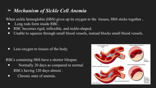 Hemoglobin Apathies ,Causes ,Precautions | PPTX