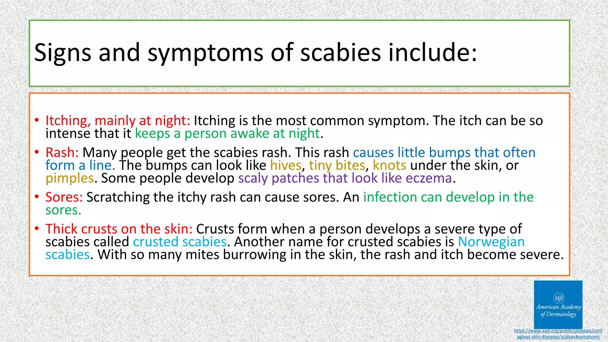 Scabies / Dermatology | PPTX