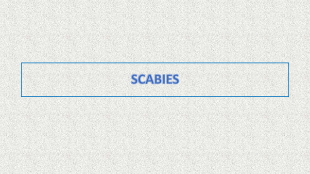 Scabies / Dermatology | PPTX