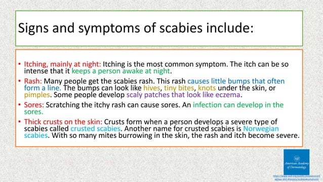 Scabies / Dermatology | PPTX