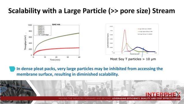 Scale-up of high area filters for microfiltration of biological fluids ...