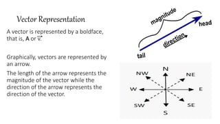 Scalar-and-Vector.pptx