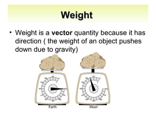 Scalar And Vector Quantities | PPT
