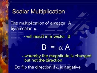 Scalar and Vector pdf.pdffxdgfghfgdrfggh | PDF