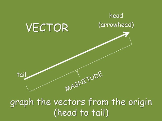 Scalar and vector quantities | PPTX | Physics | Science
