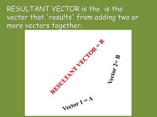Scalar and vector quantities | PPTX