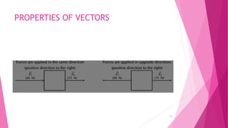 Scalar and vector quantities | PPTX