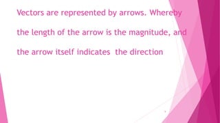 Scalar and vector quantities | PPTX
