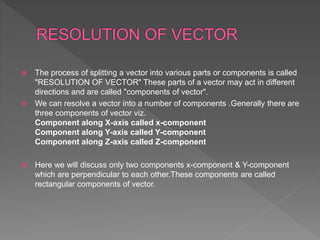 Scalar and vector quantities | PPTX