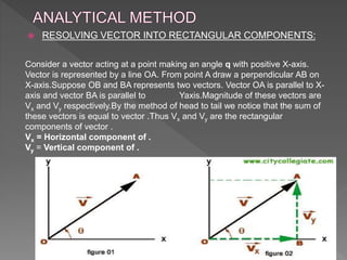 Scalar and vector quantities | PPTX