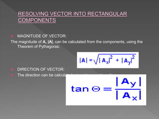 Scalar and vector quantities | PPTX