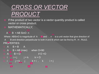 Scalar and vector quantities | PPTX