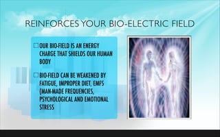 Scalar Energy Quantum Frequency Presentation | PDF