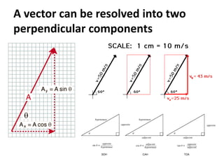 OCR Physics A Scalars and vectors | PPTX