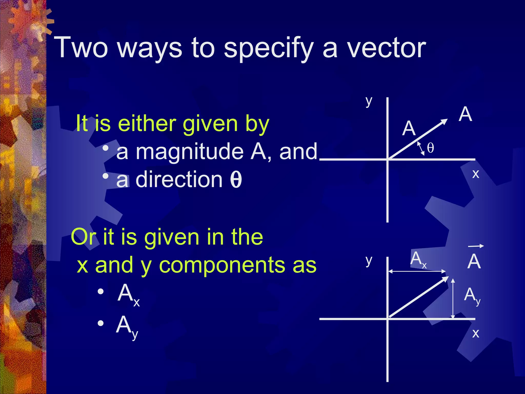 Scalars and vectors | PPT