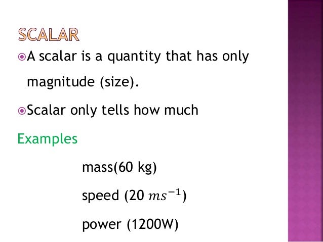 Scalars and vectors