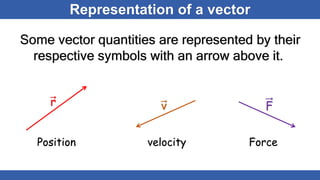 Scalar and Vector Scalars and Vectors.pptx | Physics | Science