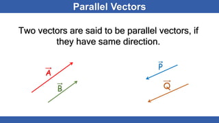 Scalar and Vector Scalars and Vectors.pptx | Physics | Science