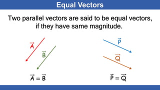 Scalar and Vector Scalars and Vectors.pptx | Physics | Science