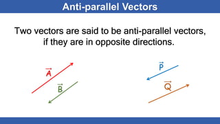Scalar and Vector Scalars and Vectors.pptx | Physics | Science