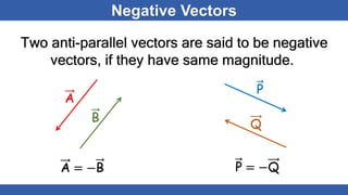 Scalar and Vector Scalars and Vectors.pptx | Physics | Science