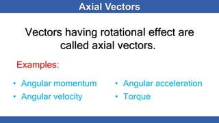 Scalar and Vector Scalars and Vectors.pptx | Physics | Science