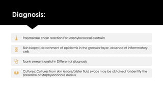 Scalded Skin Syndrome: Etiology, Clinical Presentation, Diagnosis ...