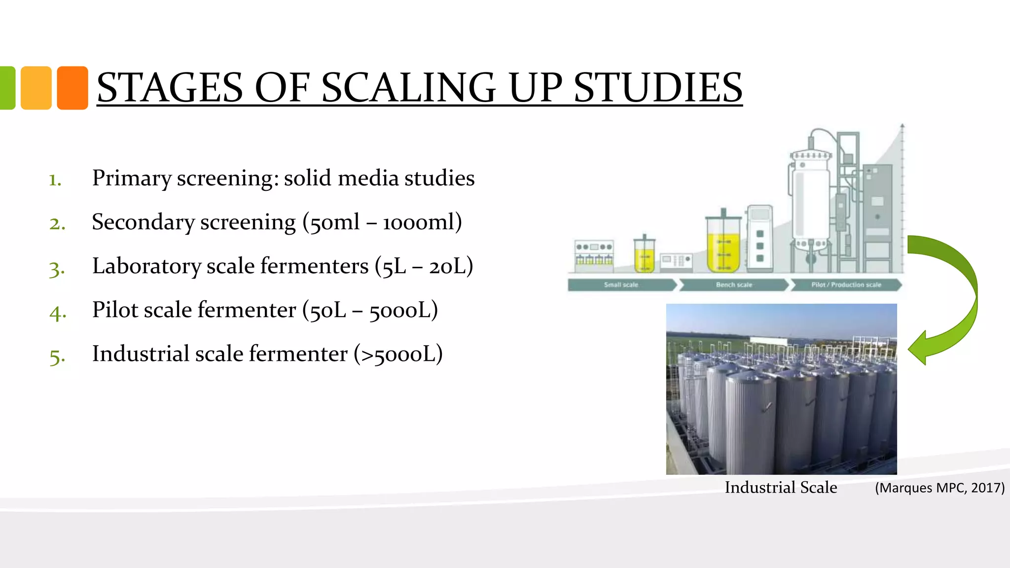 SCALE-UP OF BIOREACTOR.pptx
