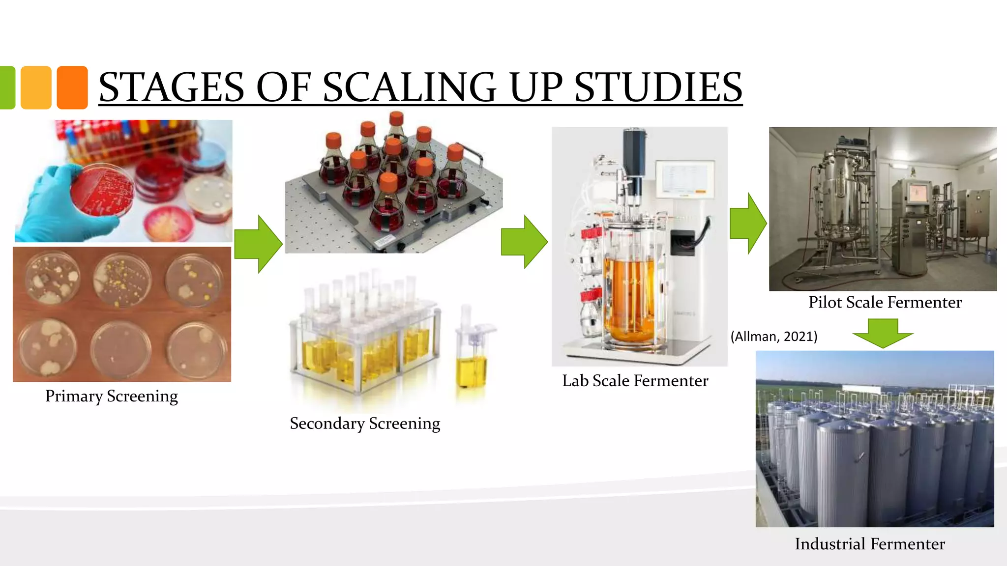 SCALE-UP OF BIOREACTOR.pptx