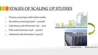 SCALE-UP OF BIOREACTOR.pptx