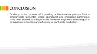 SCALE-UP OF BIOREACTOR.pptx