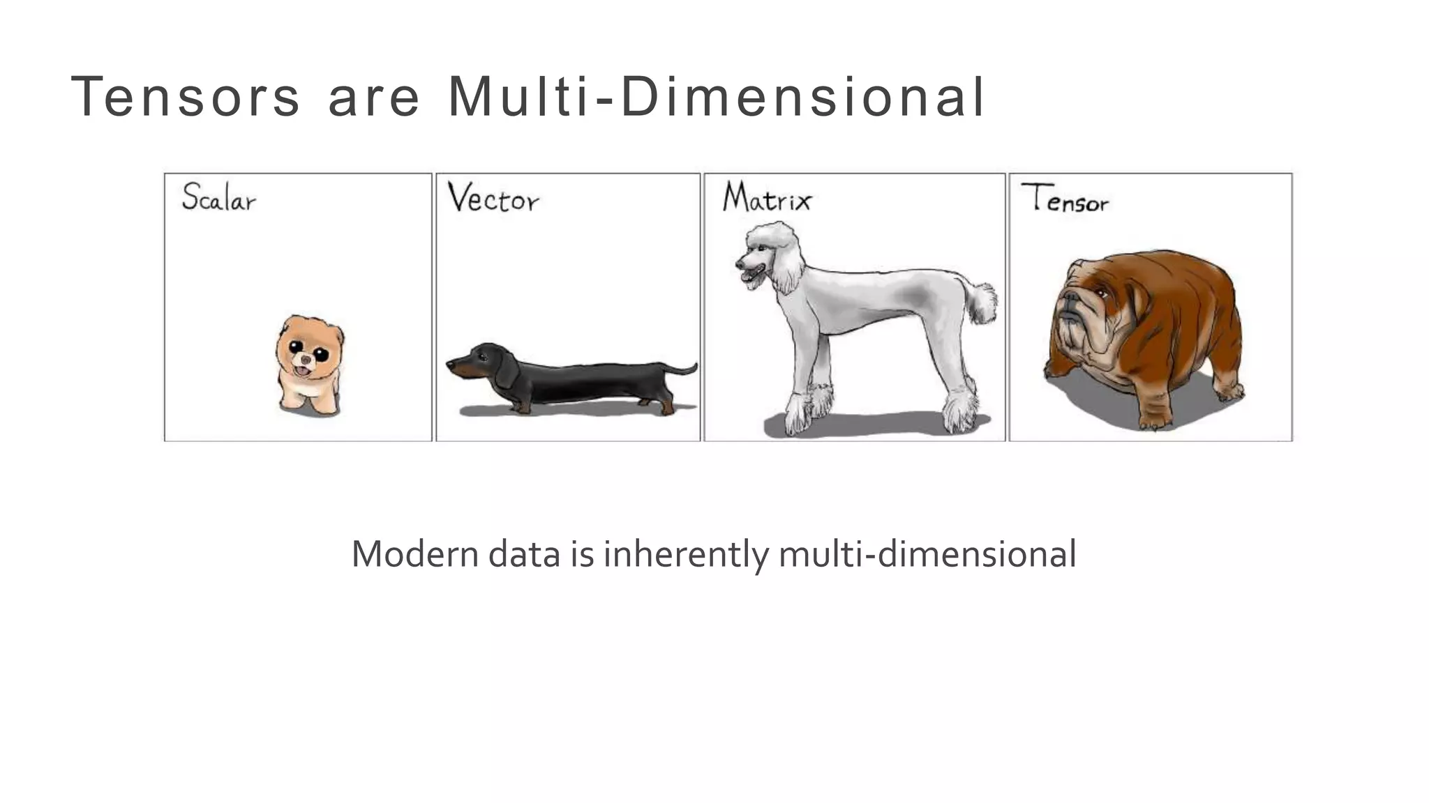 Role of Tensors in Machine Learning | PPT Role of Tensors in Machine Learning | PPT