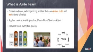 Scaled Agile Transformations | PPT