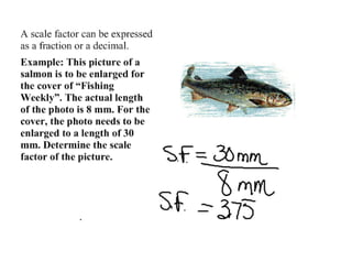 Scale factors | PDF
