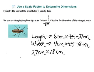 Scale factors | PDF