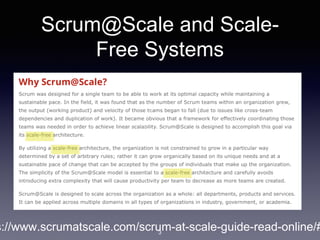 Scale-Free Organizations: A Sober View, Some History, and How to Make ...