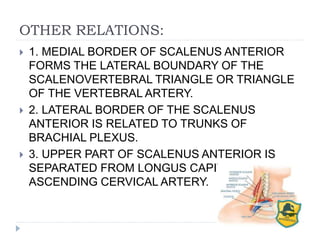 Scalenus Anterior | PPTX