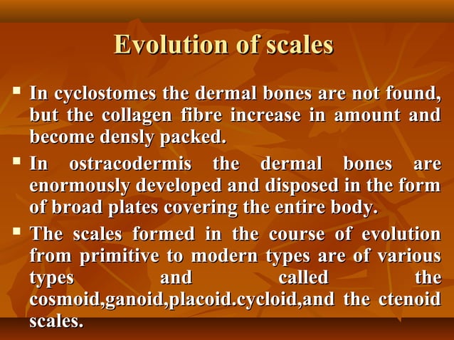 Scale of fishes | PPT