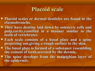 Scale of fishes | PPT